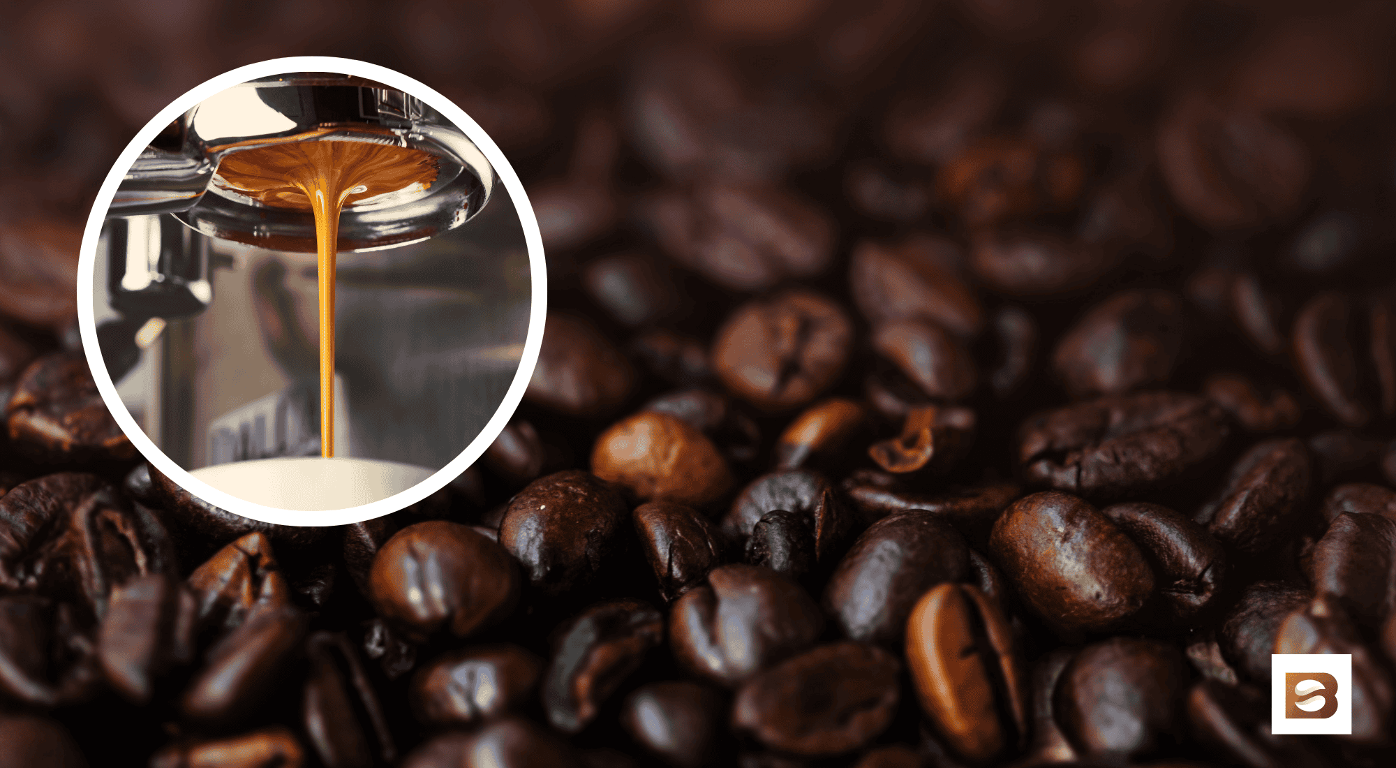 French Roast vs Italian Roast Coffee